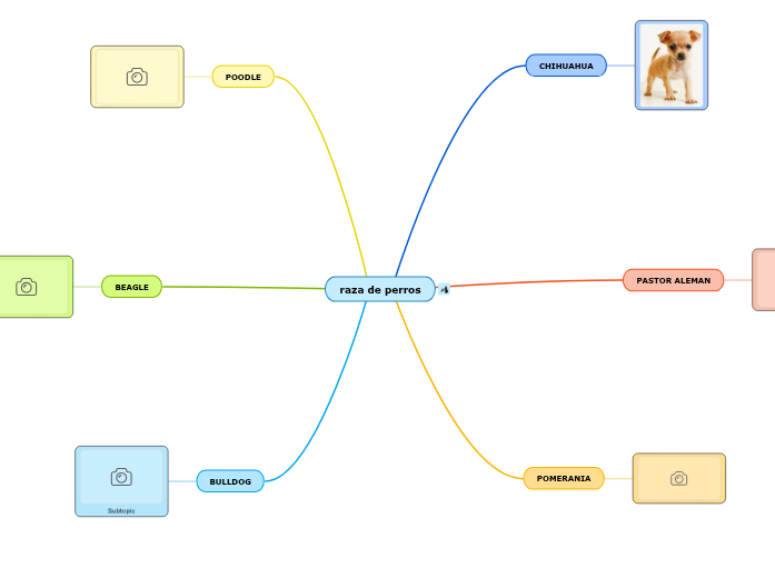 raza de perros - Mind Map